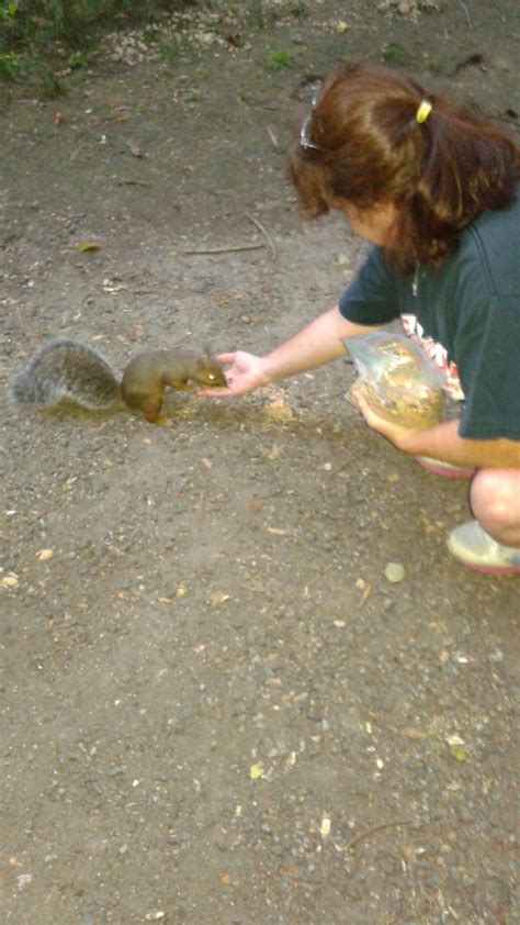 Mark Cassidy On Linkedin Getting A Helping Hand With Your Insurance