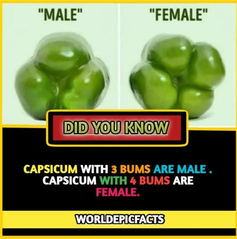 Pin By Nehal Ariwala On Doodles Psychology Fun Facts Psychological Facts Interesting Amazing