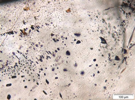 Homogenization Temperature Range From Fluid Inclusions Of Cl7 Along