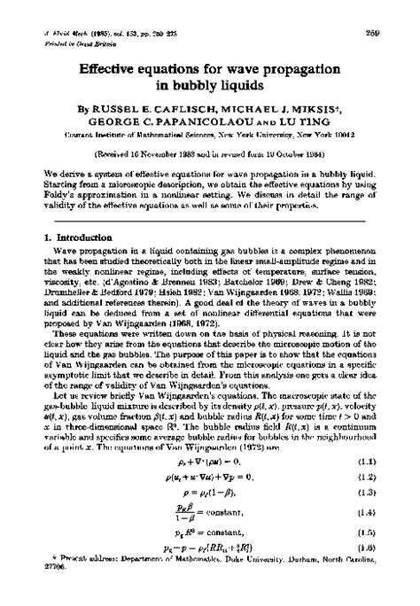 Pdf Effective Equations For Wave Propagation In Bubbly Liquids