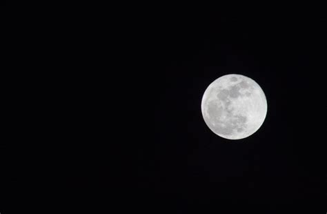 Scenics Nature Planetary Moon Blue Moon Sky Astronomy Luna Moon Surface Nature Dark