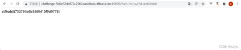 Ssrf Ctfhub 2【fastcgi协议、redis协议、url Bypass、数字ip Bypass、302跳转 Bypass、dns重绑定bypass】 Sayo Nerv