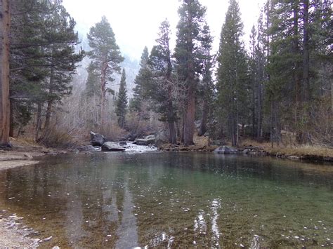 Sabrina Campground Reviews Bishop Ca