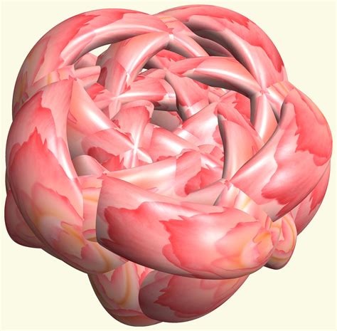 무료 이미지 구조 조직 꽃잎 심장 무늬 담홍색 입 인간의 몸 그림 디자인 대칭 3d 그래픽 오르간 매듭 수학자 Cg