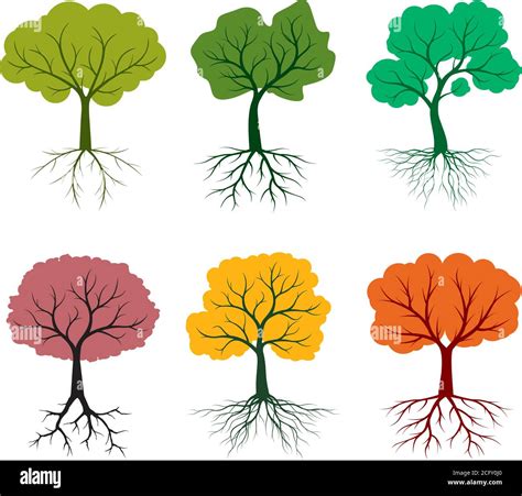 Colour Tree Park Garden Stock Vector Images Alamy