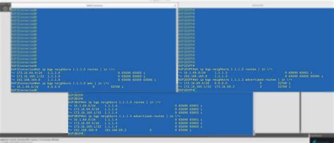 EBGP Advertises Routes Back To EBGP Peer Why For Real This Time Cisco Community