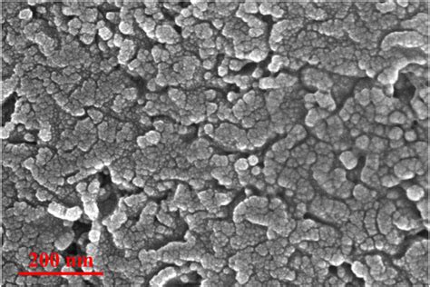 Sem Image Of Zno Qds Thin Film On The Si Sio2 Substrate Annealed At 450 °c Download