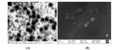 particle size distribution shape and morphology of cs coated