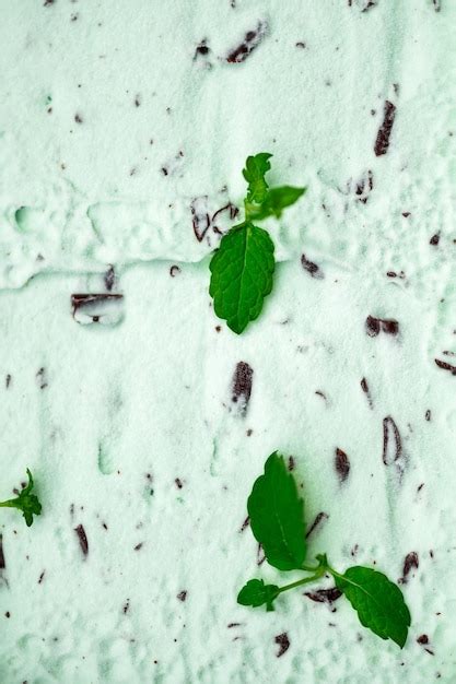 Minz Eis Hintergrund Bilder Kostenloser Download Auf Freepik