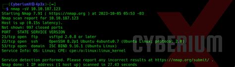 TryHackMe Expose Writeup