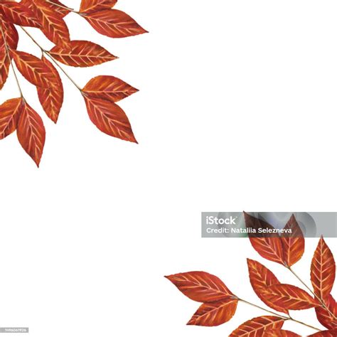 가을 나뭇잎이 있는 수채화 프레임은 흰색 배경에 고립된 그림을 남긴다 호박 단풍 나무 잎 도토리 참나무 잎 버섯 Physalis