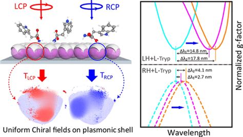 Chiral Plasmonic Shells High Performance Metamaterials For Sensitive Chiral Biomolecule