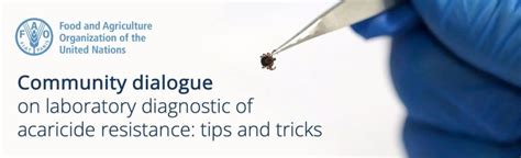 W E B I N A R Community Dialogue On Laboratory Diagnostic Of Acaricide