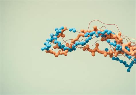 Glucocorticoid Receptor Signaling Implications For Cognitive Function