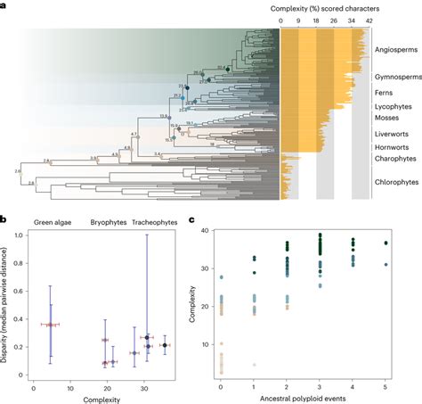 Evolution Of Phenotypic Complexity Within The Plant Kingdom A The Download Scientific Diagram