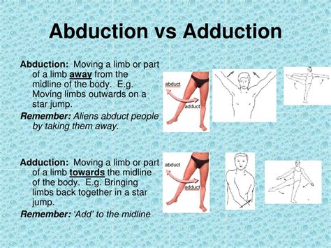 Abduction And Adduction Abduction Definition Anatomy Nmxblo