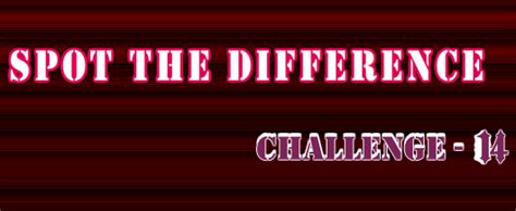 Spot The Difference 14 Play Online On Flash Museum 🕹️