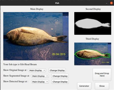 Computer Visiondeep Learningimage Processing By Turalkarimov Fiverr