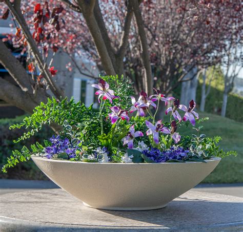 Large Bowl Planter Modern Low Profile Planters Unlimited Enhance