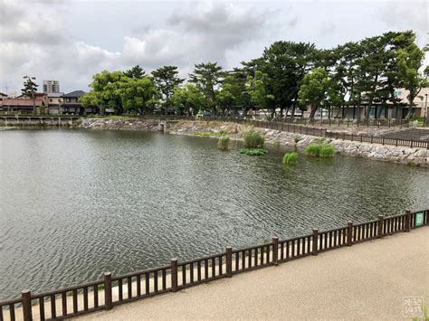 安城大池愛知県安城 水辺遍路