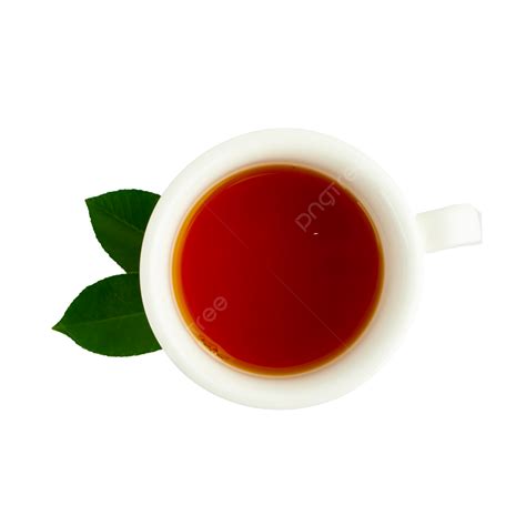 애프터눈 티 티 폴리 페놀 정물 사진 홍차 컵 정물 사진 홍차 Png 일러스트 및 이미지 에 대한 무료 다운로드 Pngtree