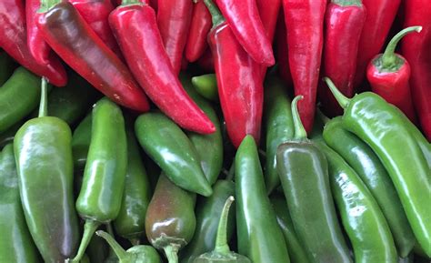 Piment Est T Il Un Fruit Fruit Ou Légume Yazegz