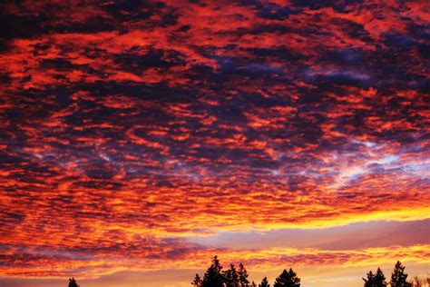 Twilight Ii By Taylol The Xelol On Deviantart