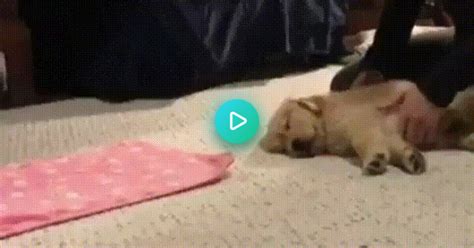 Bed Too Far  On Imgur