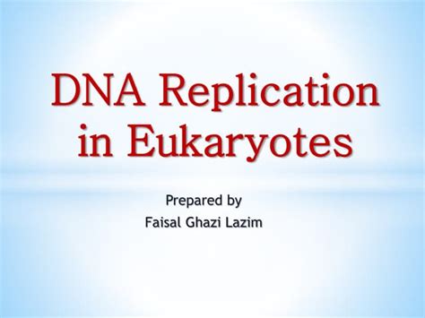 Dna Replication Eukaryotes Pptx