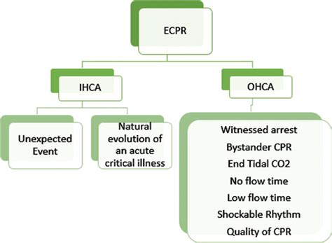 Role Of Ecmo In E Cpr Journal Of Cardiac Critical Care Tss