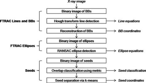 Seed Segmentation In Prostate Brachytherapy Iacl