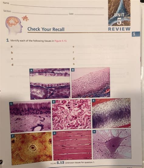 Solved Name Section Date Unit Check Your Recall Review 5 1