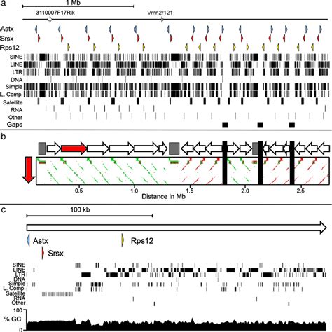 Characterization Of The Repeat Interval A Transcript And Genomic Download Scientific Diagram