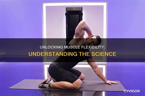 Unlocking Muscle Flexibility Understanding The Science Cyvigor
