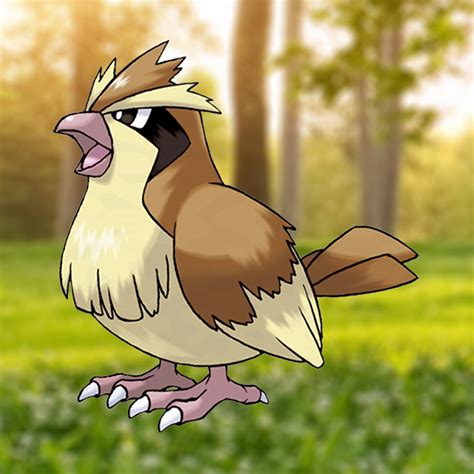 Noctowl Vs Pidgeot