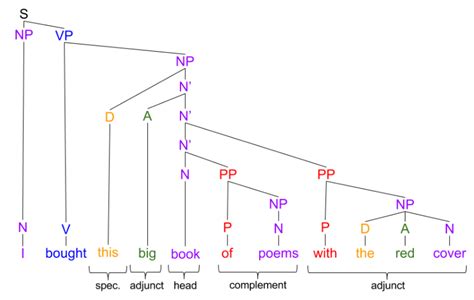 Diagram The X Bar Theory Of Phrase Structure