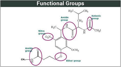 Functional Groups Definition Ss Musical Group India