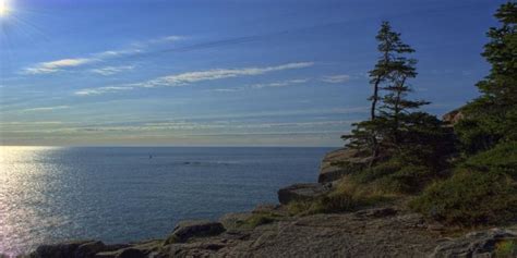 Batch Normalization Vs Instance Normalization Download Scientific