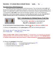 Thi Nguyen Sex Linked Punnett Squares Pdf Genetics X Linked Sex Linked Genes Name Per Sex