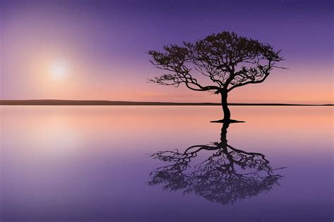 Guide To Make Custom Haar Cascade Xml File For Object Detection With Opencv By Vipul Dilip