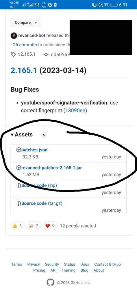 Also How Can I Apply This Patches R Revancedapp
