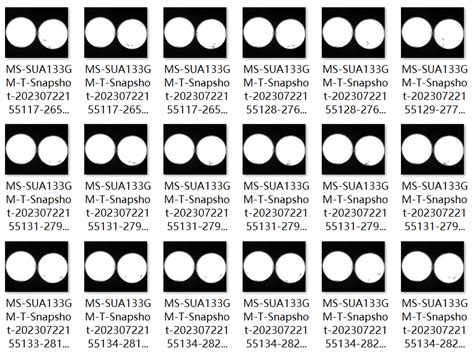 【yolov5 deepsort】训练自己的数据集（2） 目标检测and追踪 轨迹绘制 deepsort训练自己的数据集 csdn博客