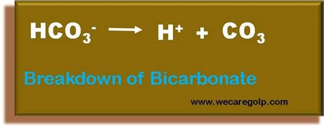 Bicarbonate In Bicarbonate Dialysis We Care