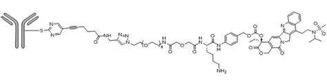 芦康沙妥珠单抗sacituzumab Tirumotecan 药品详情 Nextpharma®数据库 Bydrug 医药魔方数据库