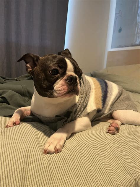 One Dapper Fellow R Teenagers