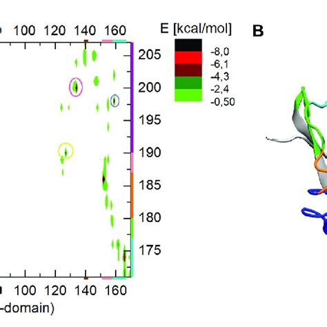 A The Interaction Energy Map Between The G Domain And The C Terminus Download Scientific