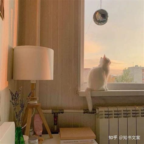 简短却富有深意的句子 知乎