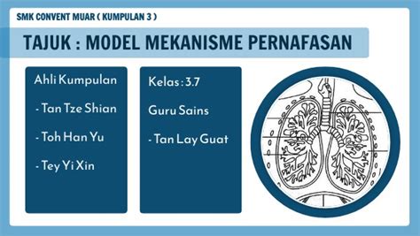Model Peparu Kumpulan 3 Genially