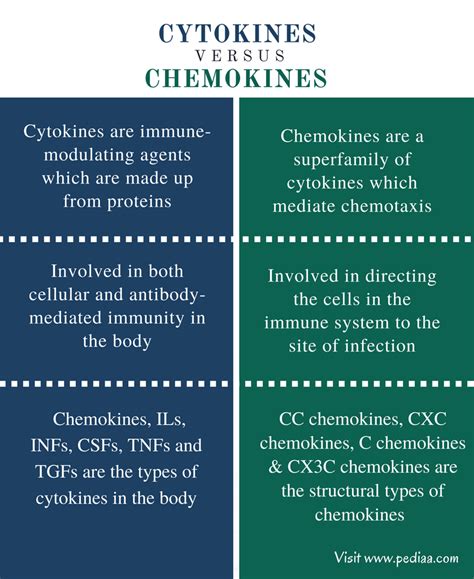 Difference Between Cytokines And Chemokines Structure Types Function