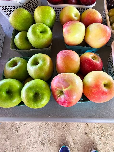 Shuler Strawberries And Peaches Holly Hill Sc